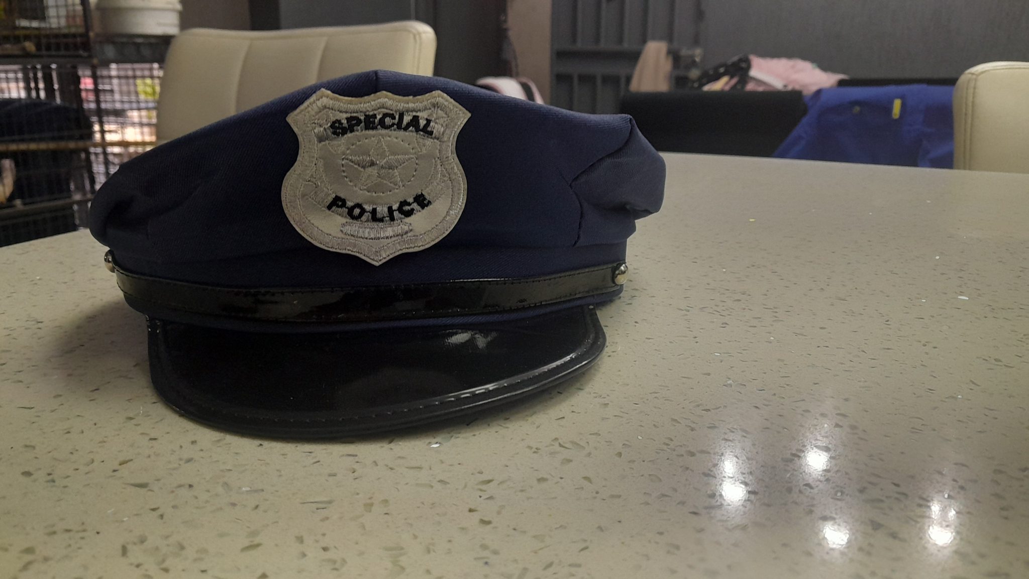 Career day Costume Police Hat – Galaxy Safety & Hardware Suppliers